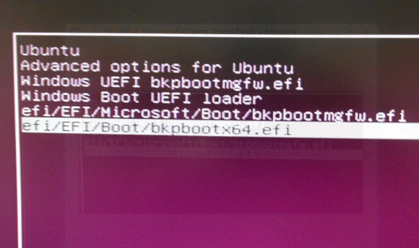 Dual-boot Windows 8 and Ubuntu 12.10 in UEFI mode | LinuxBSDos.com