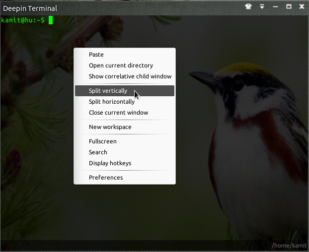 Deepin Terminal features split screens, search and ssh connections ...