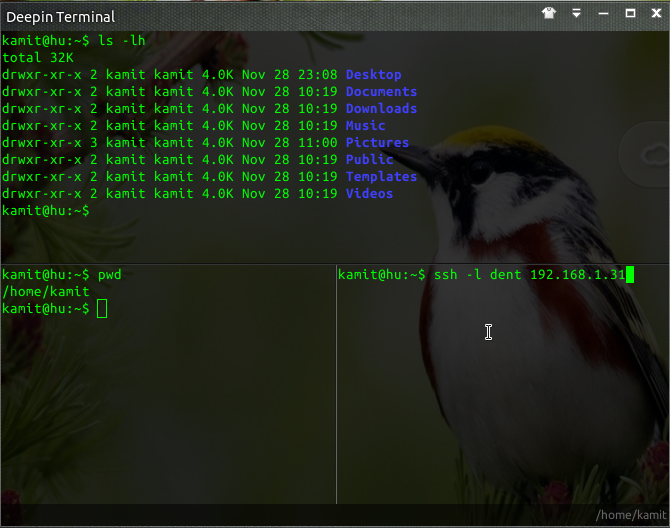 Deepin Terminal features split screens, search and ssh connections ...