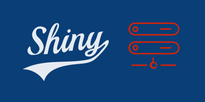 How to set up Shiny Server on Ubuntu 20.04 – LinuxBSDos.com